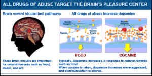 How Does Addiction Affect the Brain - Pathways Real Life Recovery